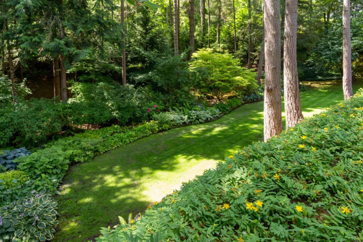10 Woodland Shade Garden Ideas For Calming Retreats In The Shadows