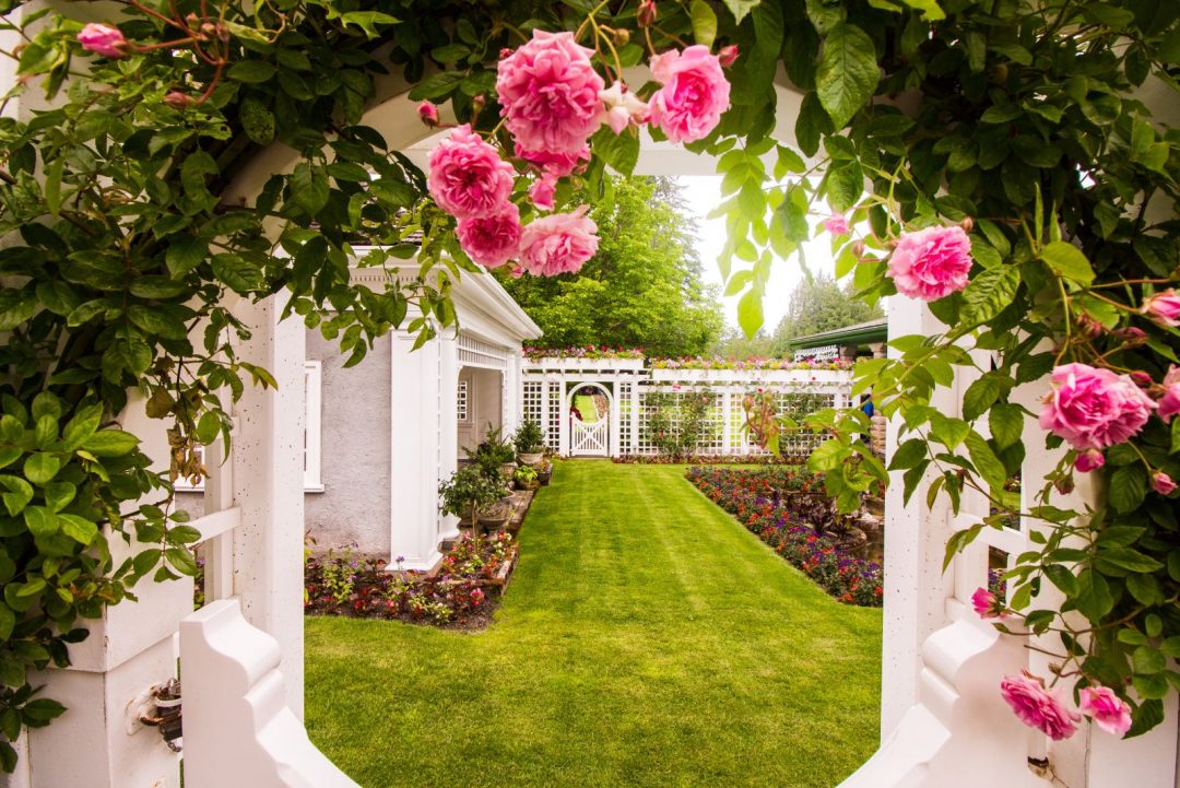 9 Captivating Ideas For Landscaping With Knock Out Roses