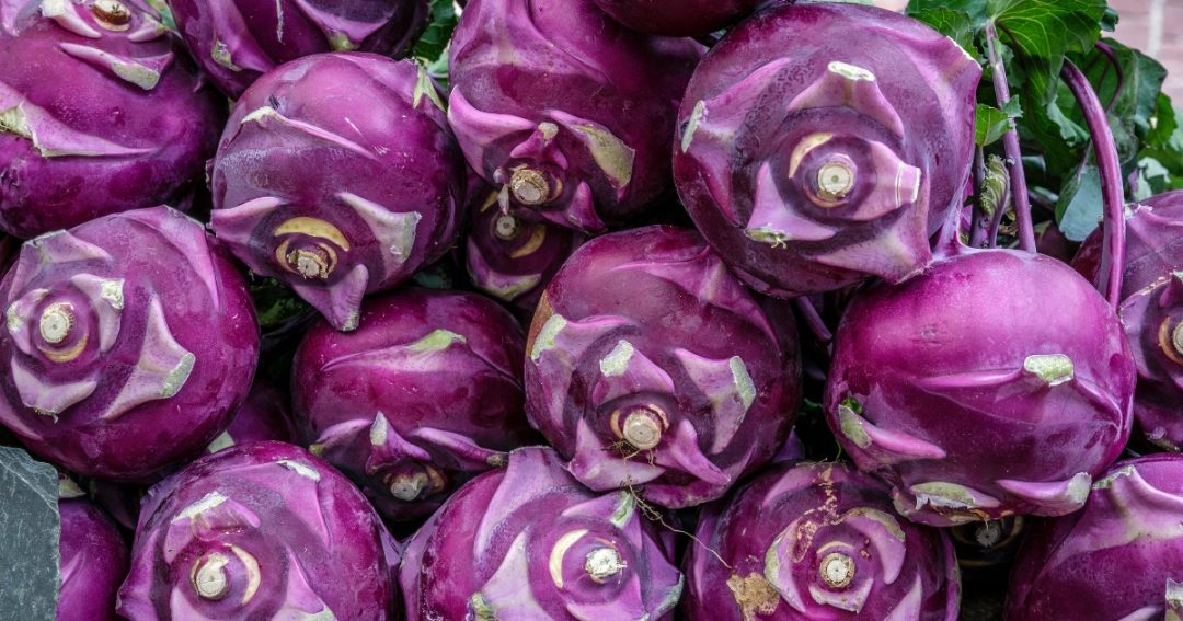 19 Fastest Growing Veggies For Busy Gardeners