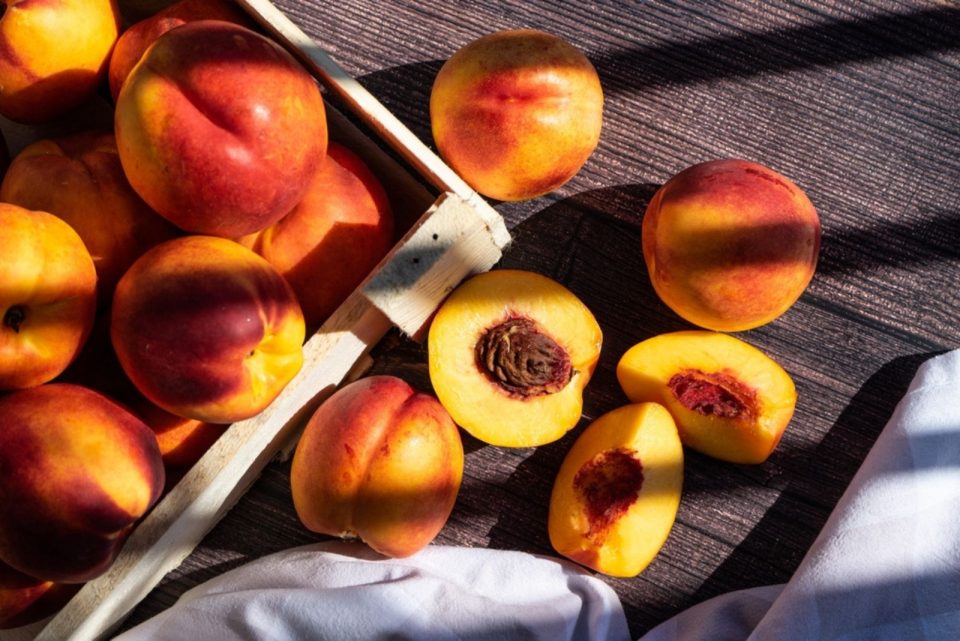 How To Grow A Peach Tree From Planting To Harvest