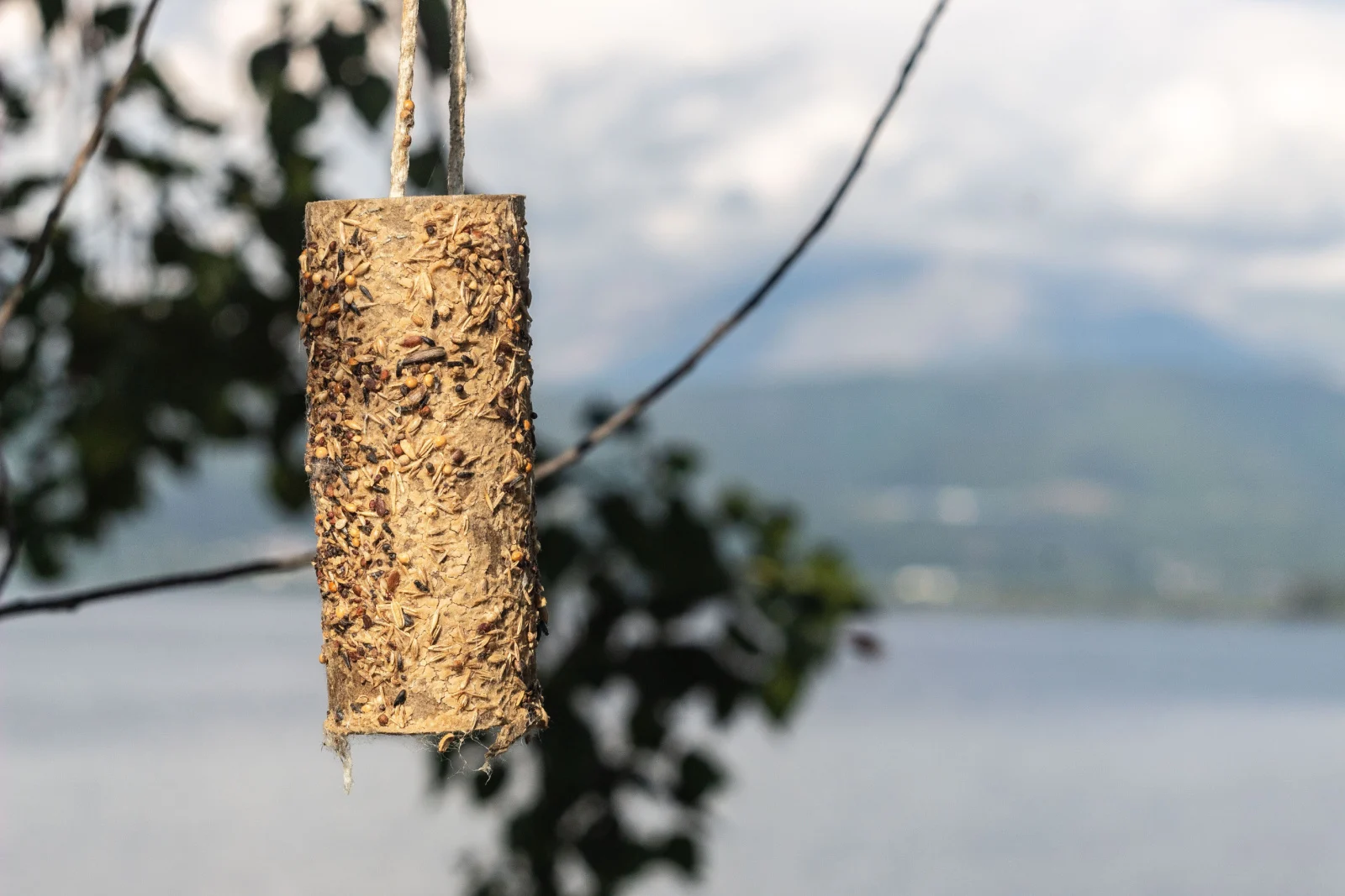 13 Creative Ways To Upcycle Toilet Paper Rolls