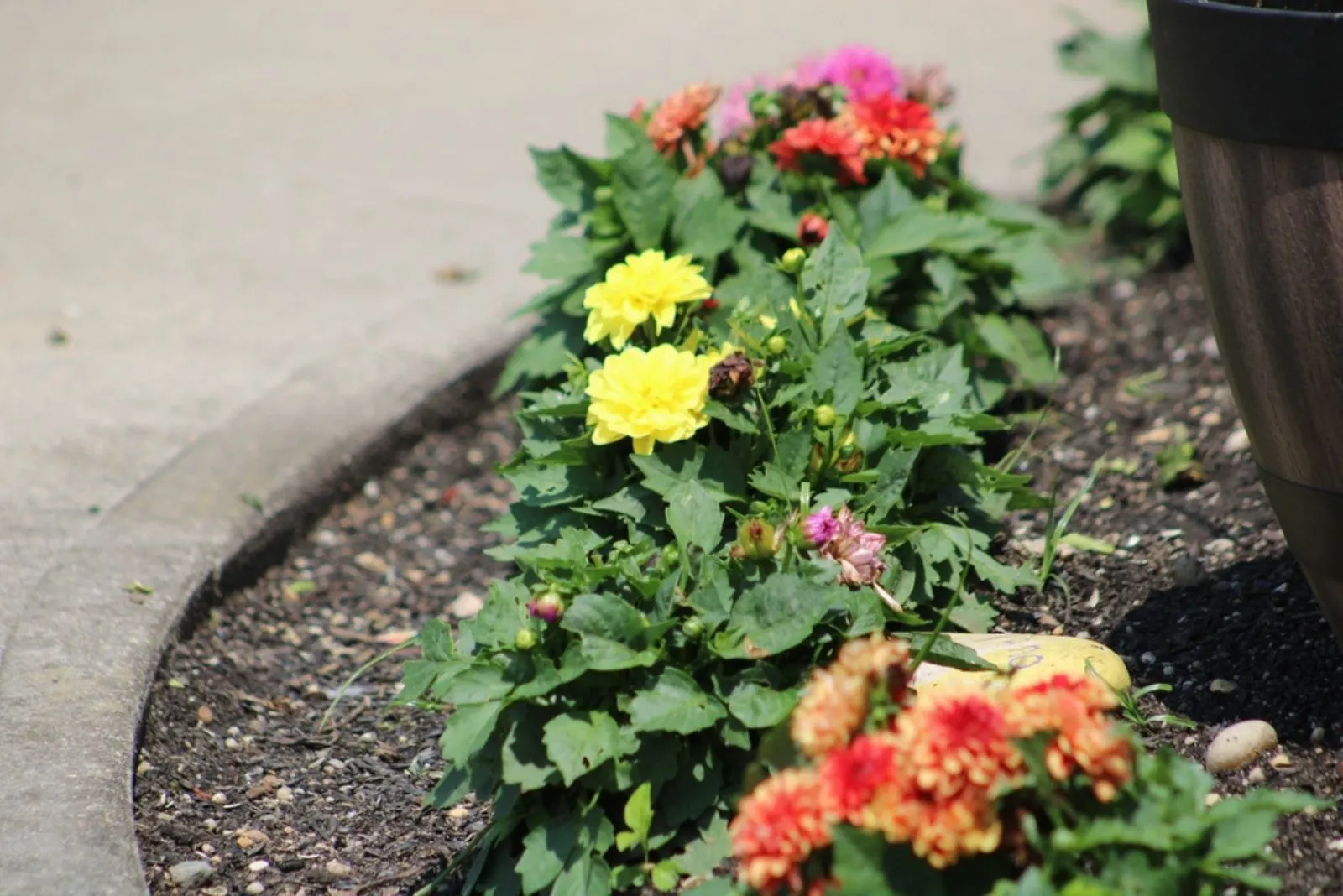 25 Budget-saving Garden Edging Ideas For A Spectacular Yard