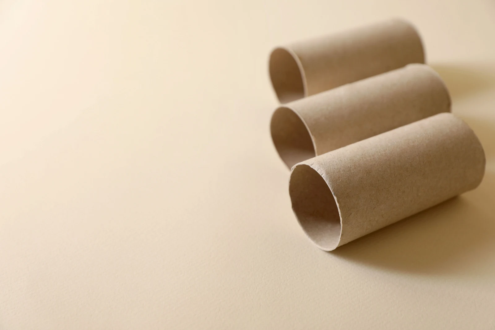 13 Creative Ways To Upcycle Toilet Paper Rolls