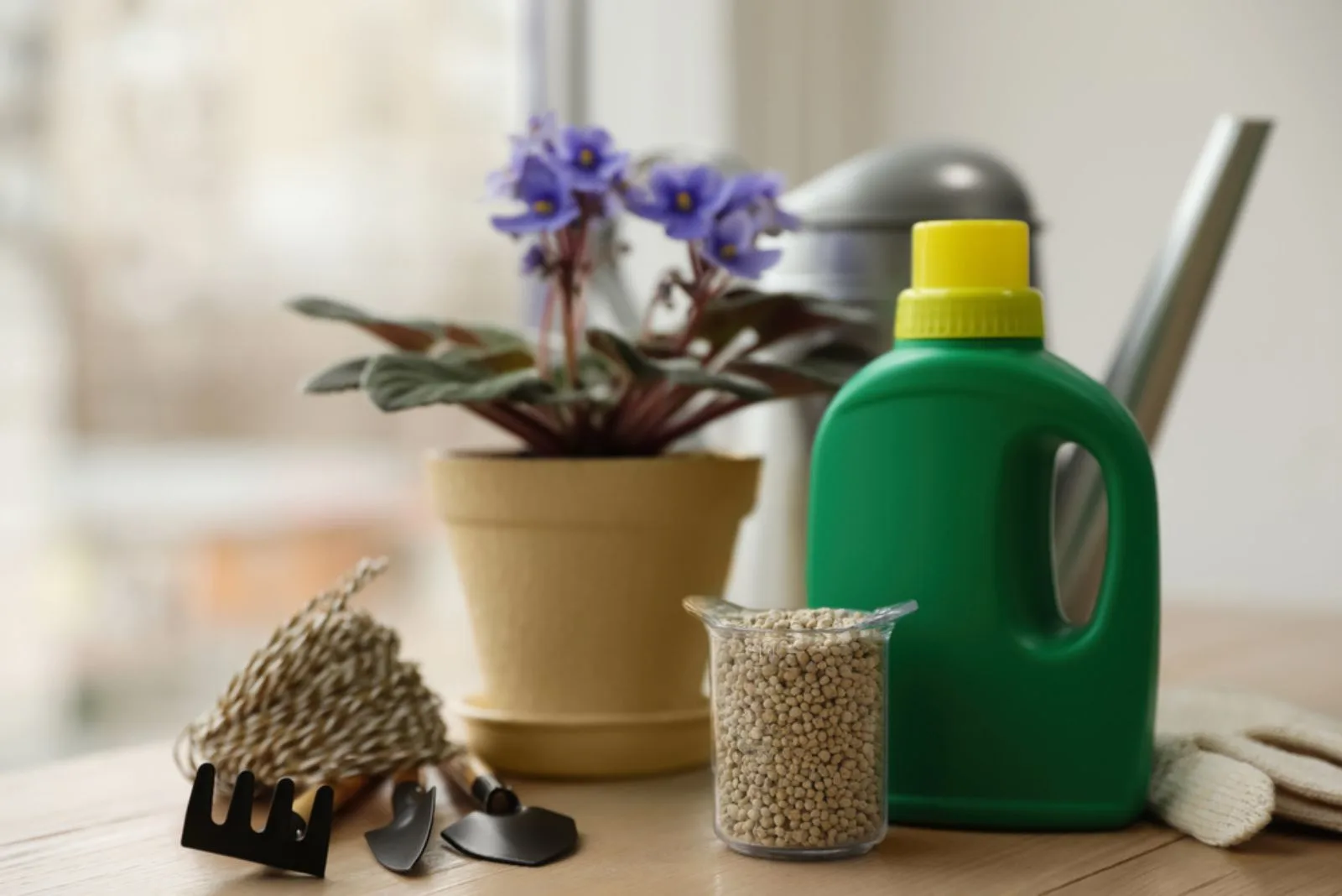 7 Ways To Get Rid Of Ant Hills In Your Garden That Actually Work