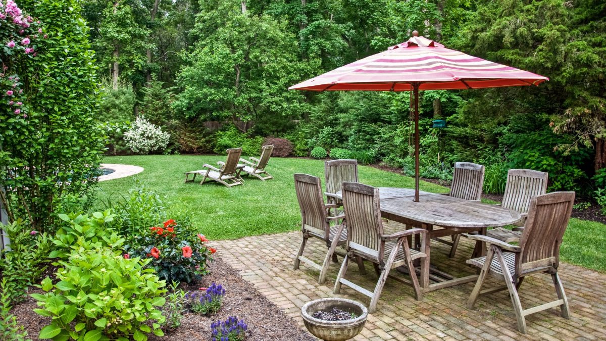 Here’s Why You Should Have More Trees In Your Yard