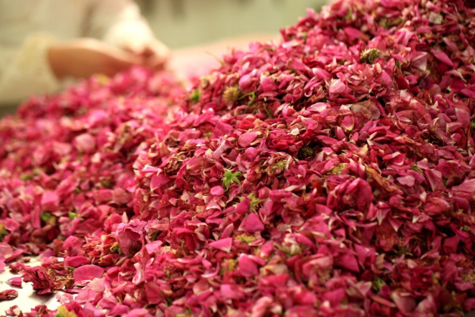 20 Edible Flower Recipes To Satisfy Your Taste Buds