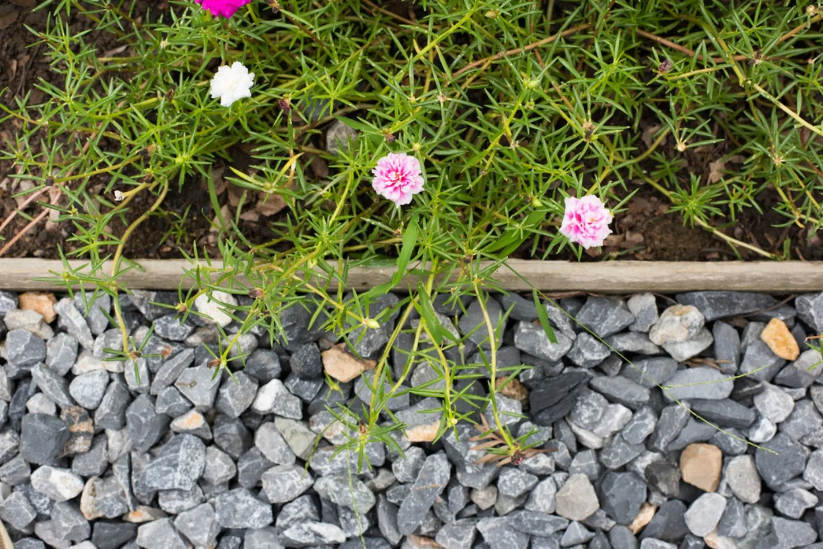 25 Budget-saving Garden Edging Ideas For A Spectacular Yard