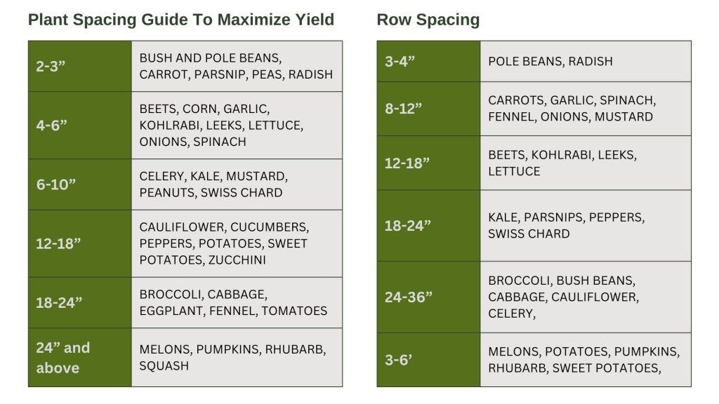 Plant Spacing Guidelines And Requirements For 34 Veggies
