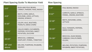 Plant Spacing Guidelines And Requirements For 34 Veggies