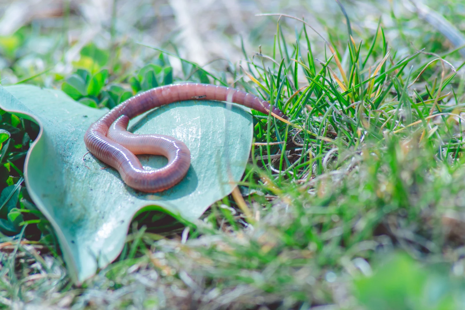 Positivebloom - Page 8 of 97 - Plant, bloom, thrive