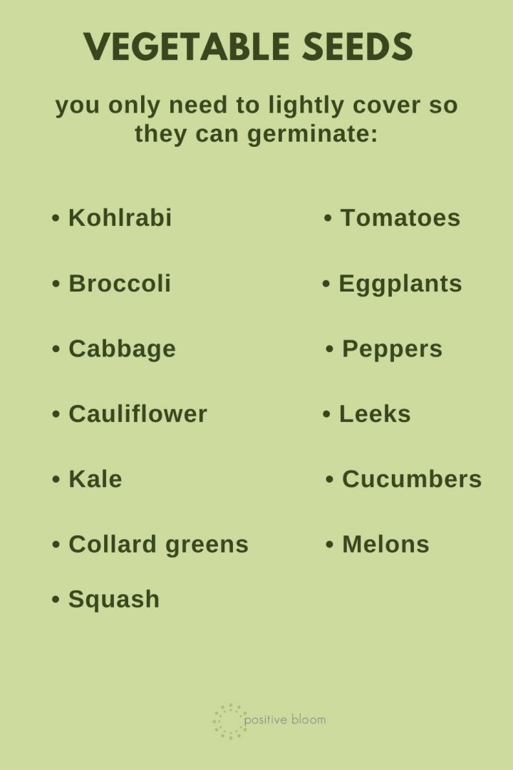 Plant Spacing Guidelines And Requirements For 34 Veggies