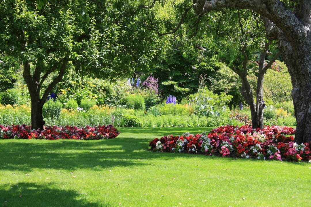 Here’s Why You Should Have More Trees In Your Yard