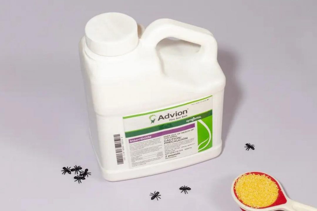 7 Ways To Get Rid Of Ant Hills In Your Garden That Actually Work