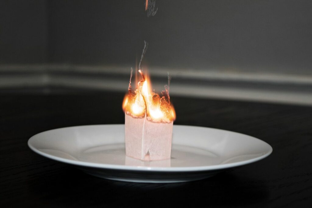 29 Smart Ways To Reuse Tea Bags For Garden & Home