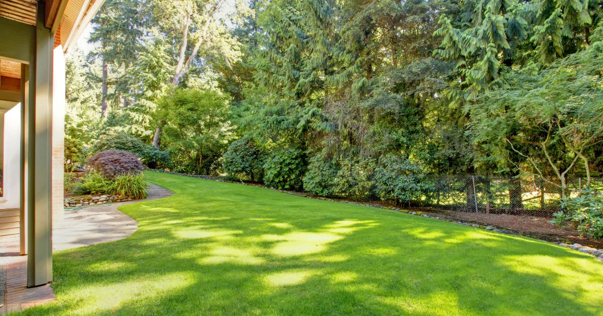 7 Best Types Of Grass You Can Grow In Your Yard