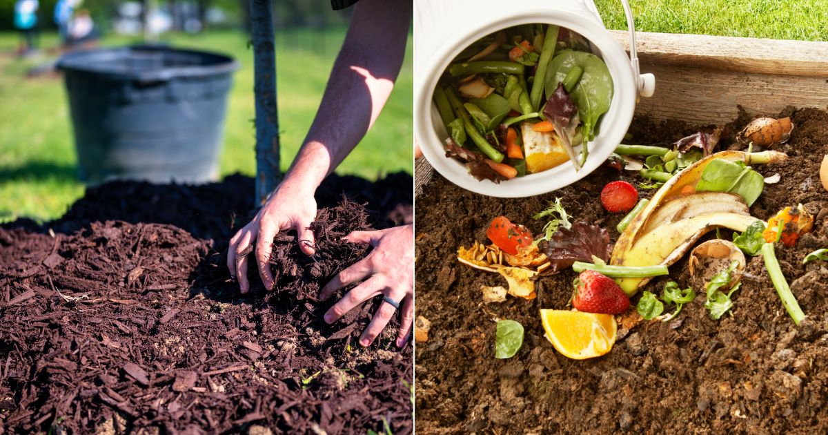Improve Your Garden Soil With These 5 Simple Methods
