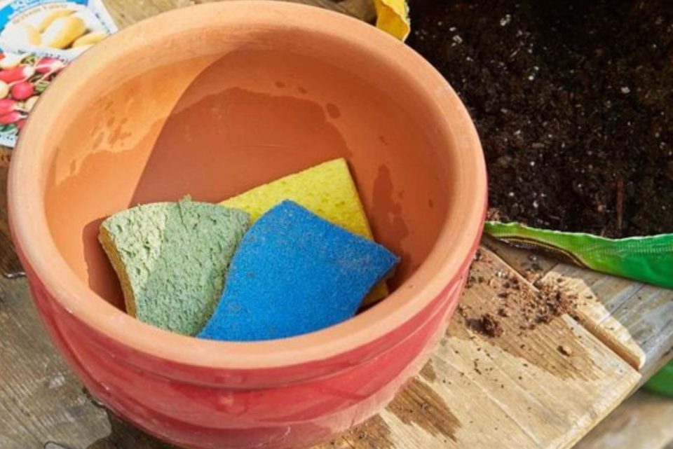 Is Filling Your Flower Pots With Kitchen Sponges A Good Idea?