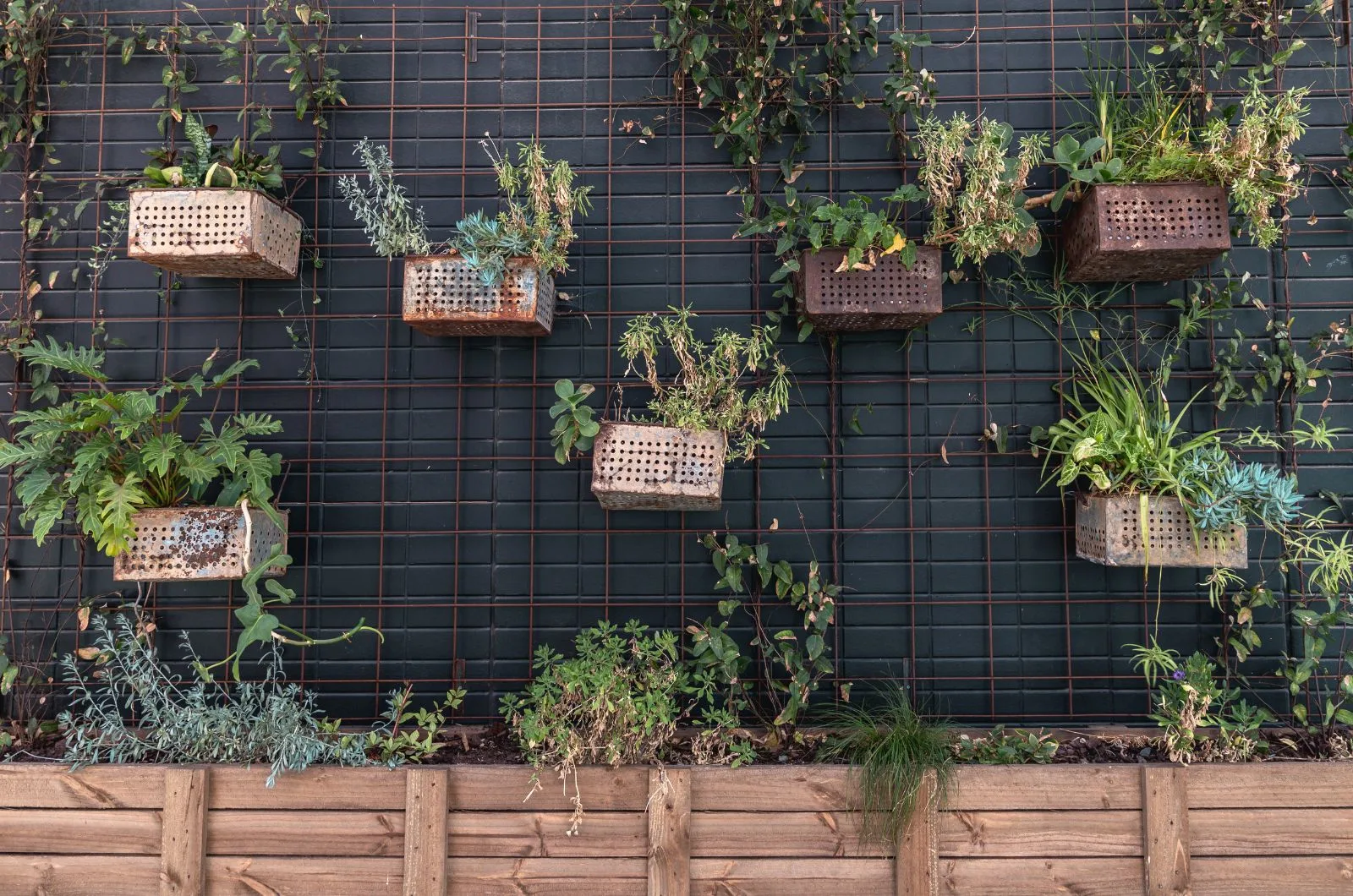 5 Tips For Turning Your Garden Into A Wildlife Habitat