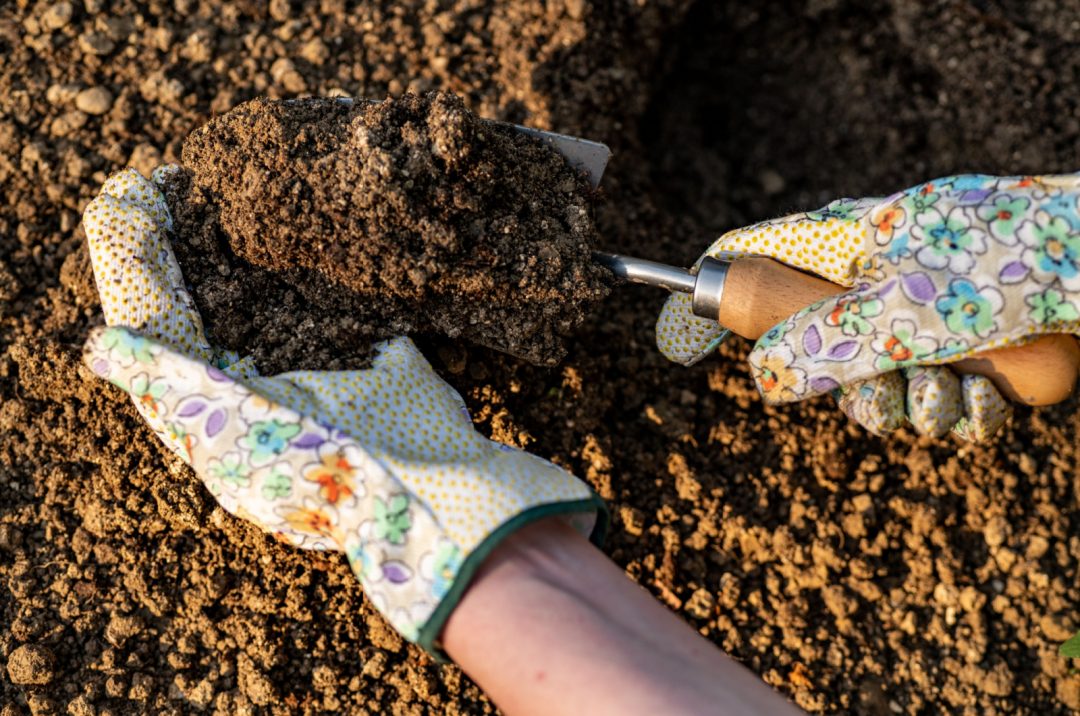 How To Fix Exhausted Soil That Affects Food Quality
