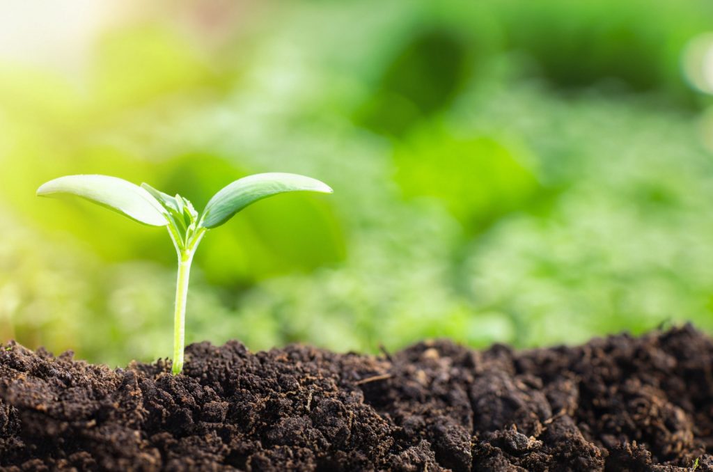 Try Closed-Loop Gardening And You’ll Never Want To Go Back