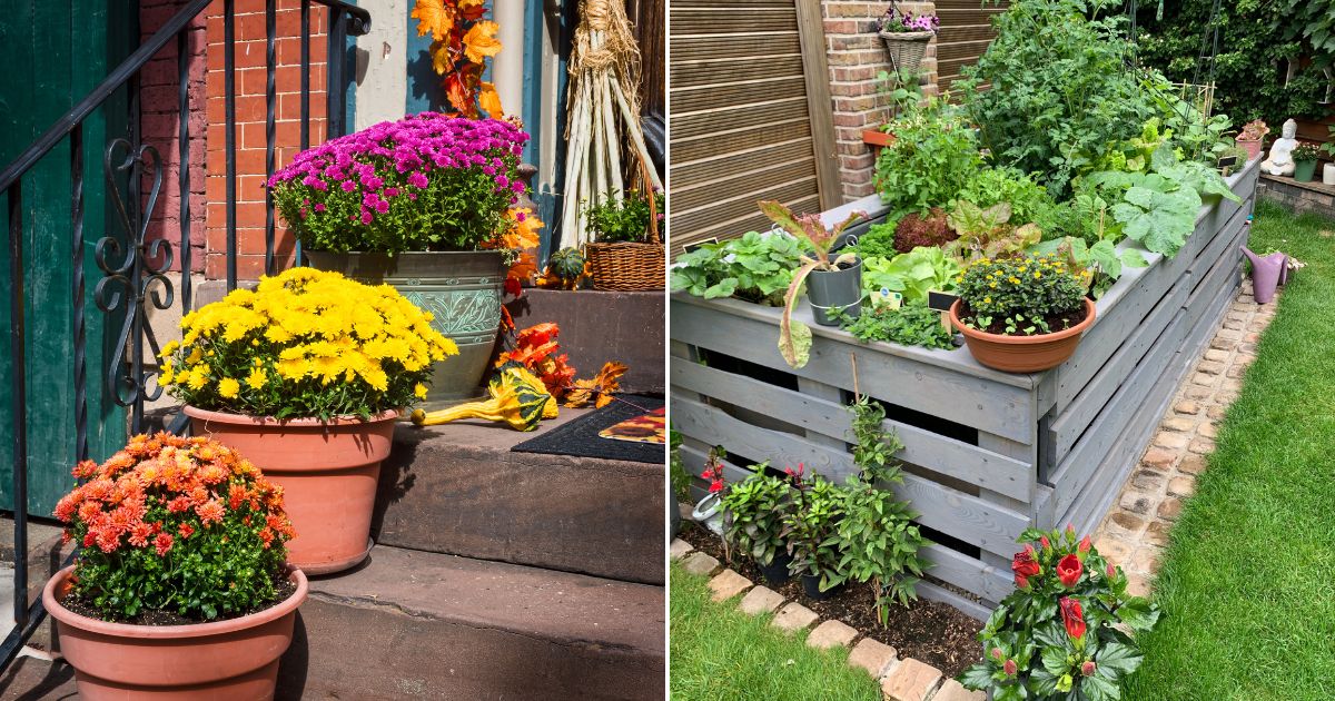 12 Amazing Fall Garden Ideas That Will Leave You Speechless