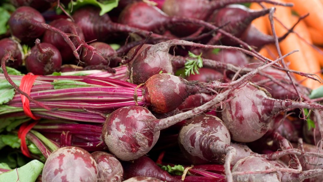 How And When To Harvest Beets