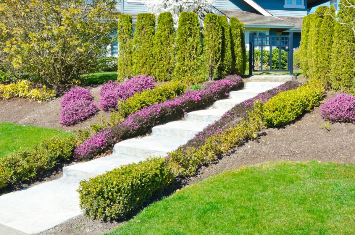 10 Ideas To Help You Make A Small Front Yard Look Bigger