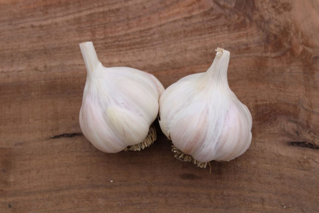 13 Varieties Of Garlic Ideal For Fall Planting
