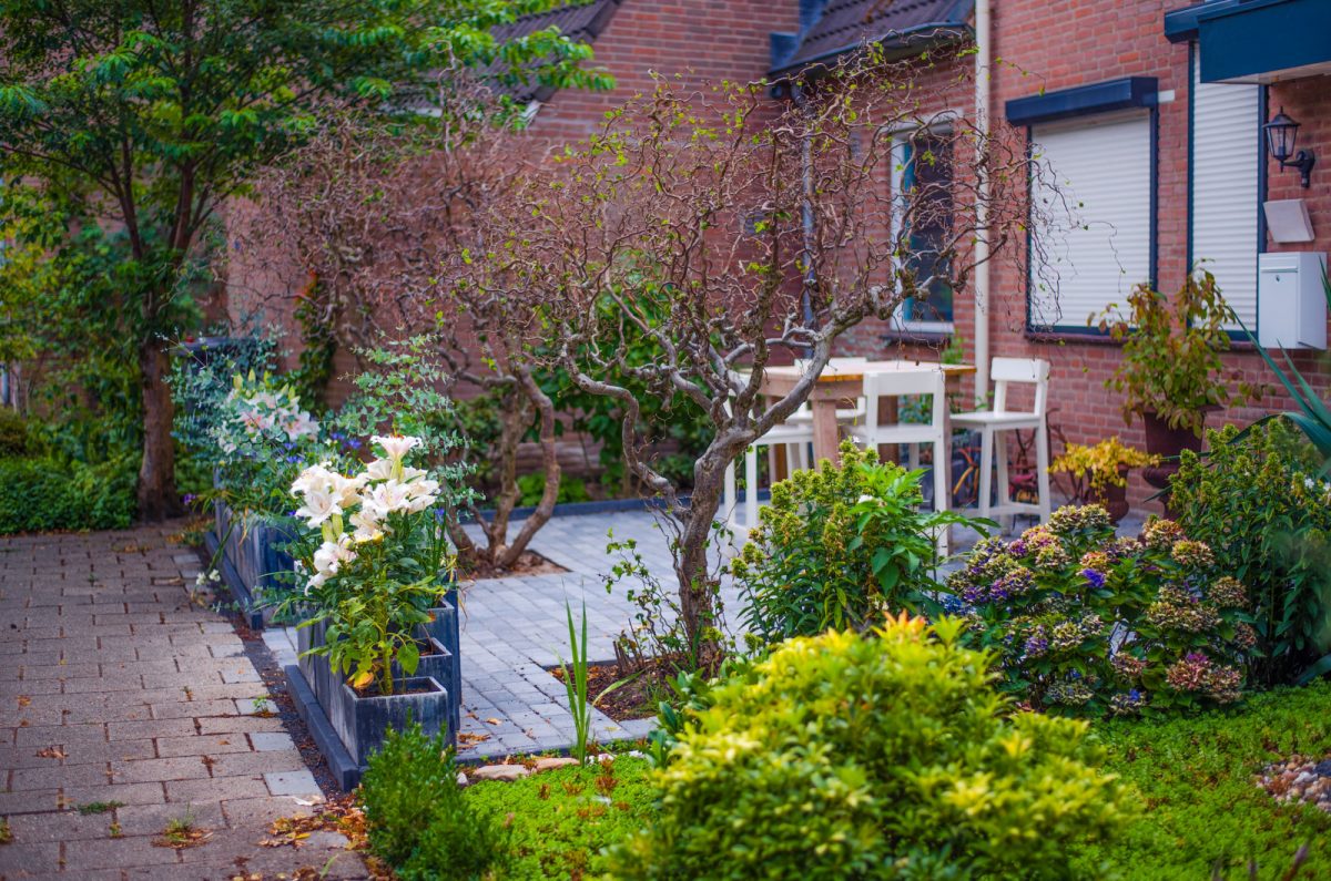 10 Ideas To Help You Make A Small Front Yard Look Bigger