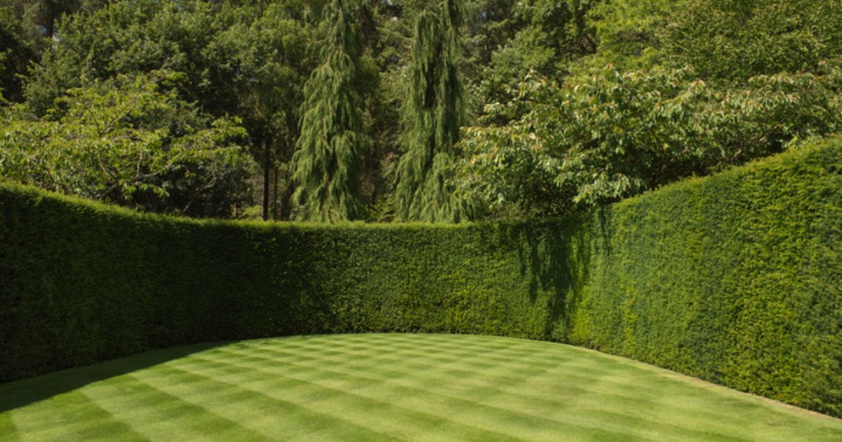 How To Get A Plaid Lawn: The Secret Of English Gardens