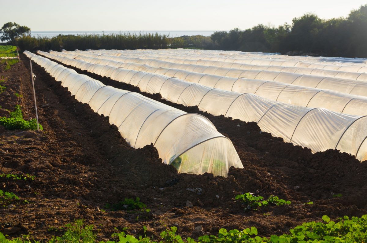 10 Steps For Installing Floating Row Covers To Prolong Your Growing Season