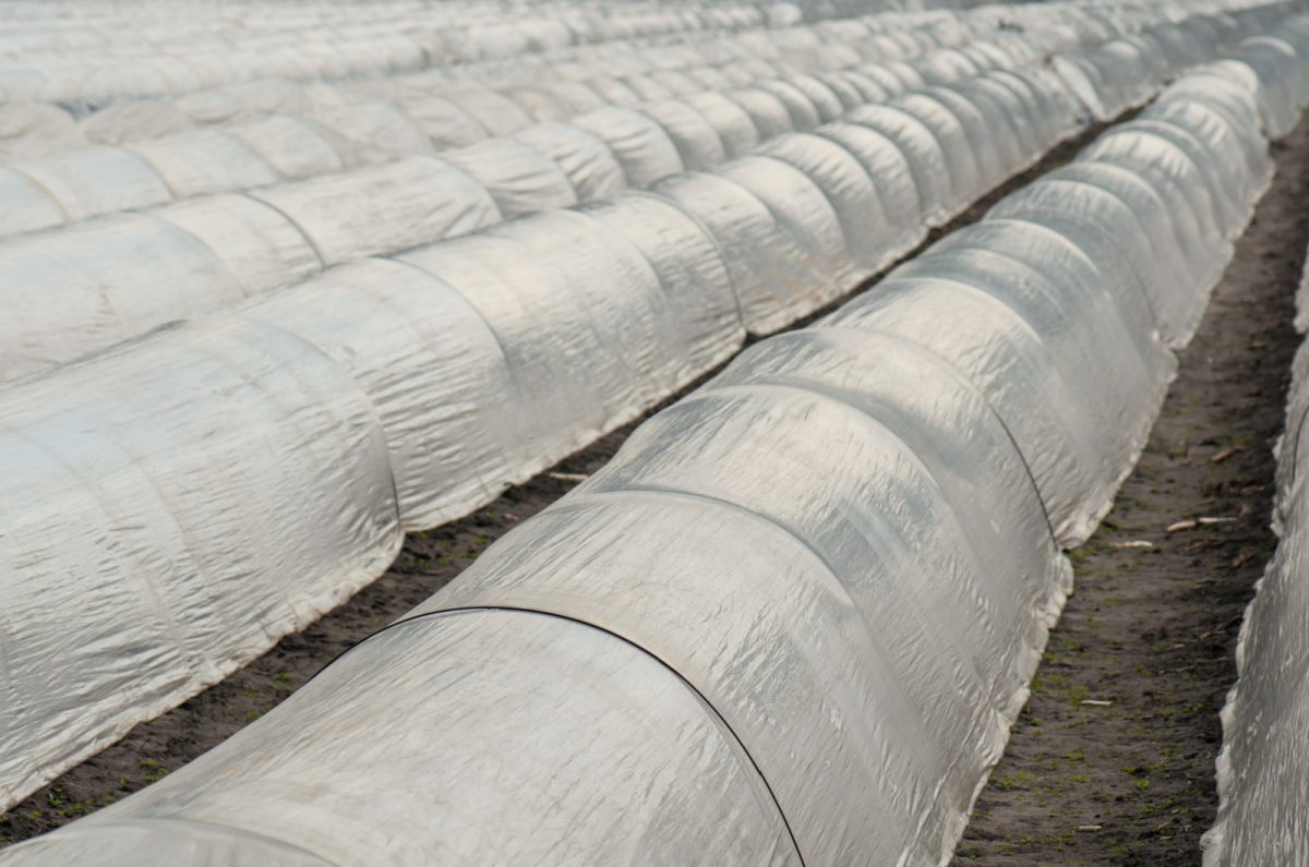 10 Steps For Installing Floating Row Covers To Prolong Your Growing Season
