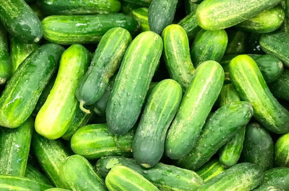 Top Cucumber Varieties That Thrive In Any Garden