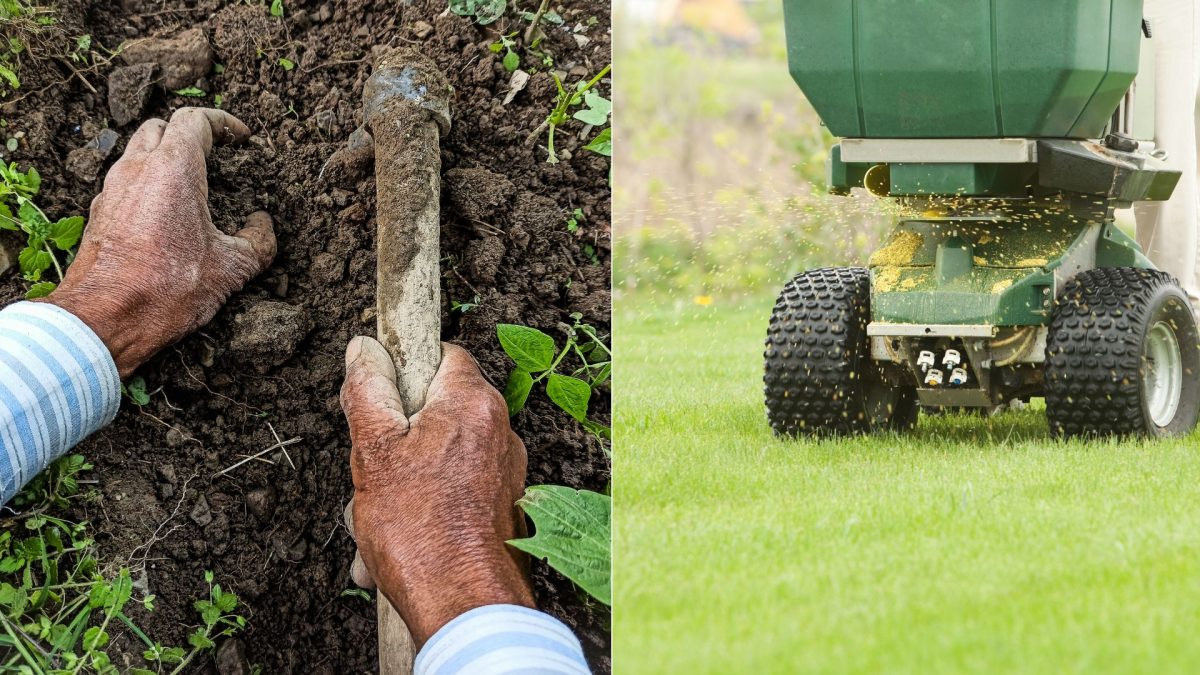 4 Effective Methods For Removing Lawn + What To Grow Instead