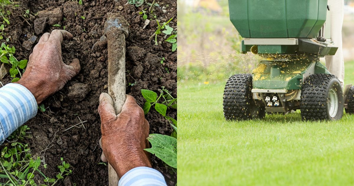 4 Effective Methods For Removing Lawn + What To Grow Instead
