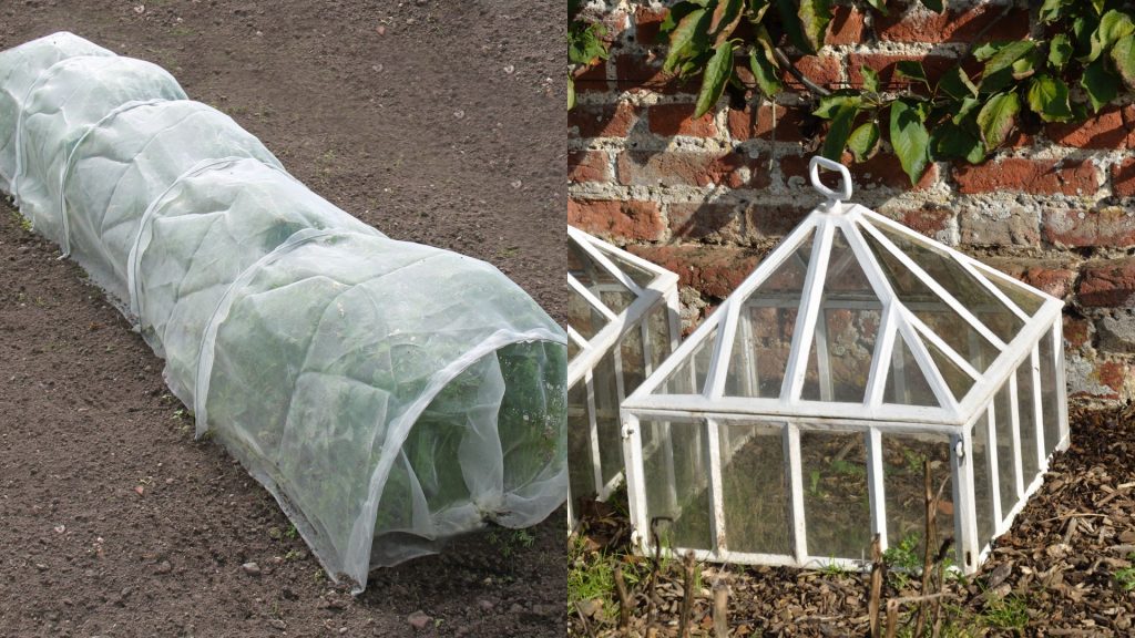 5 Essential Covers To Shield Your Outdoor Plants From Frost
