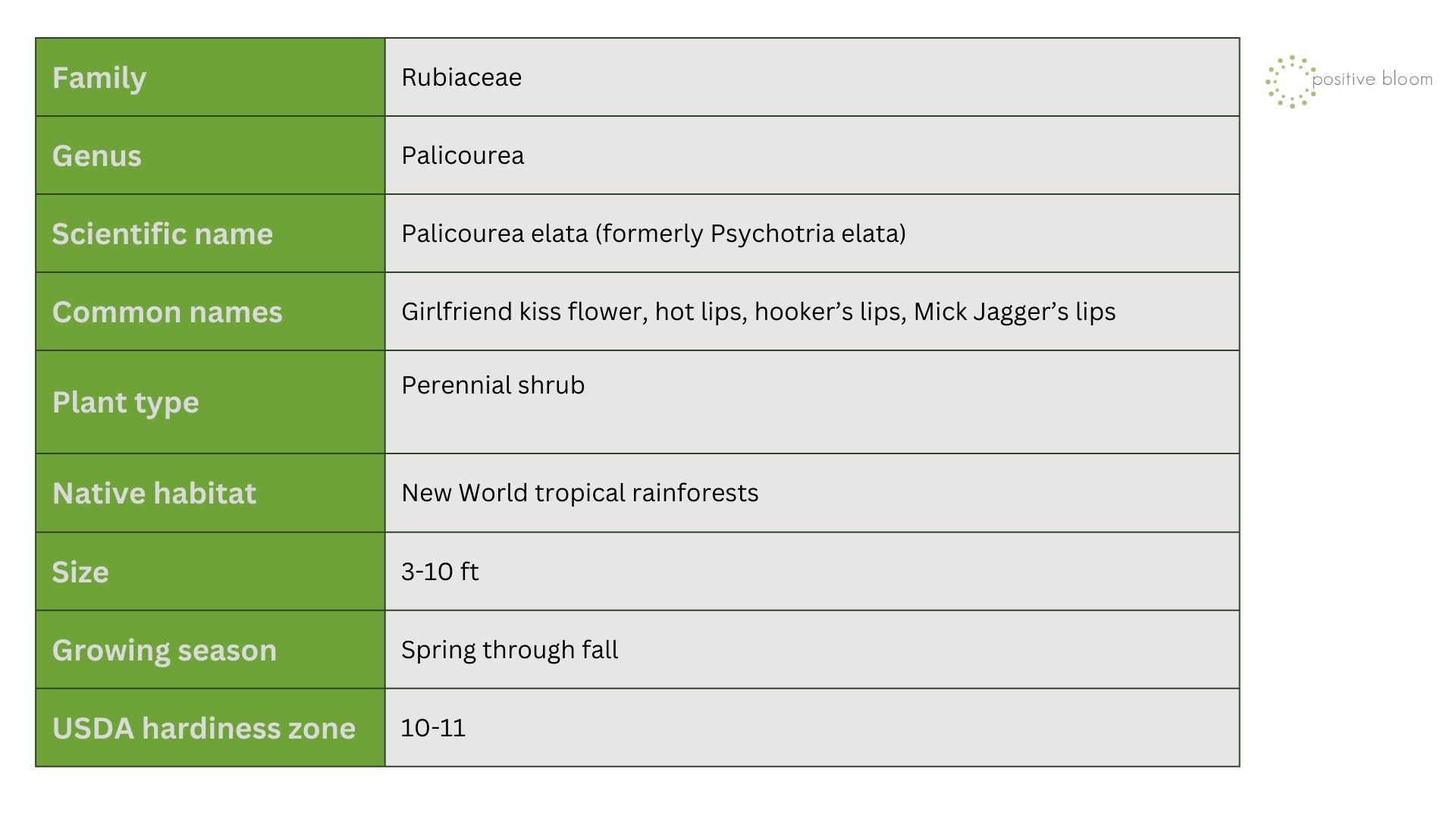 Meet The Girlfriend Kiss Flower And Learn How To Grow It