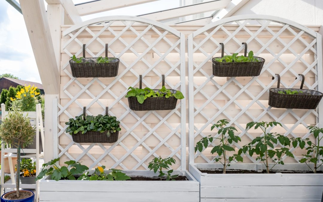 6 Easy Steps For Creating A Vertical Herb Garden In Your Kitchen