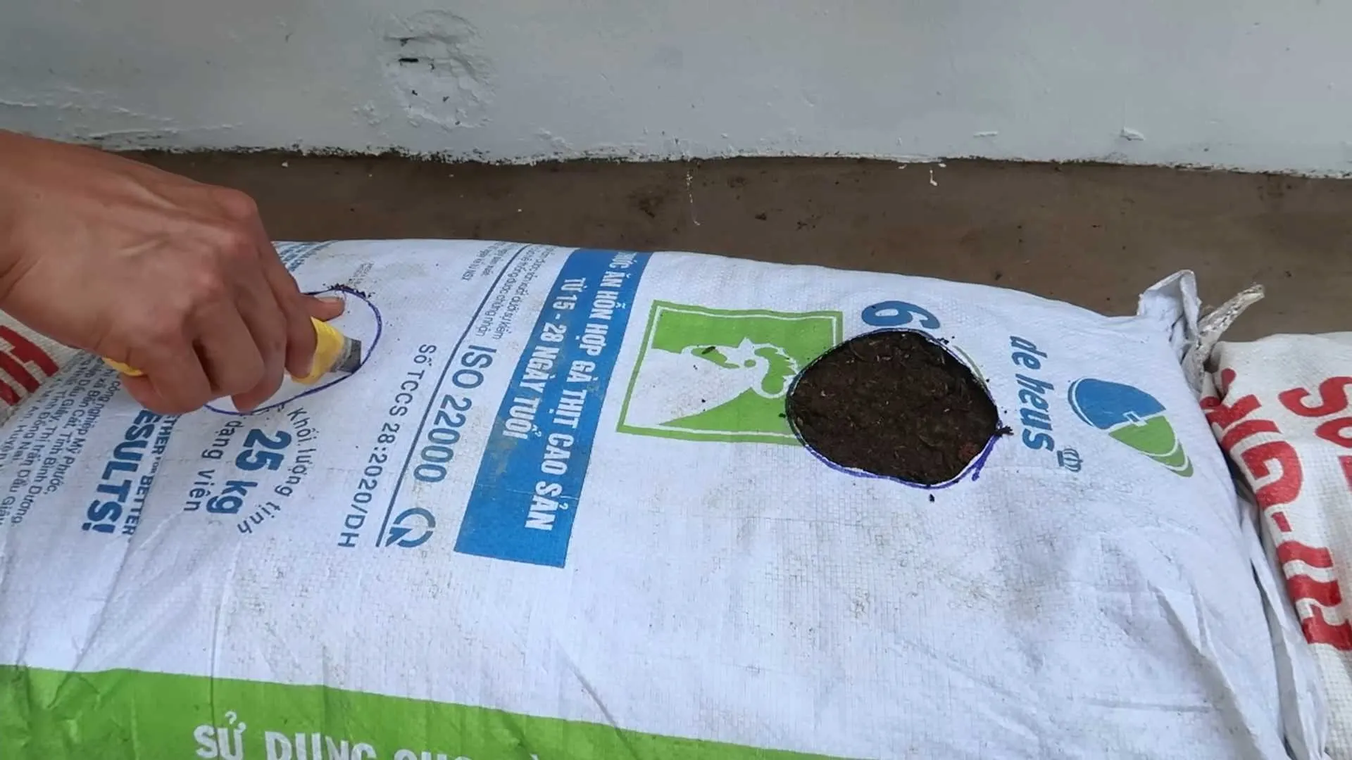 10 Simple Steps For Growing Eggplants In Soil Bags