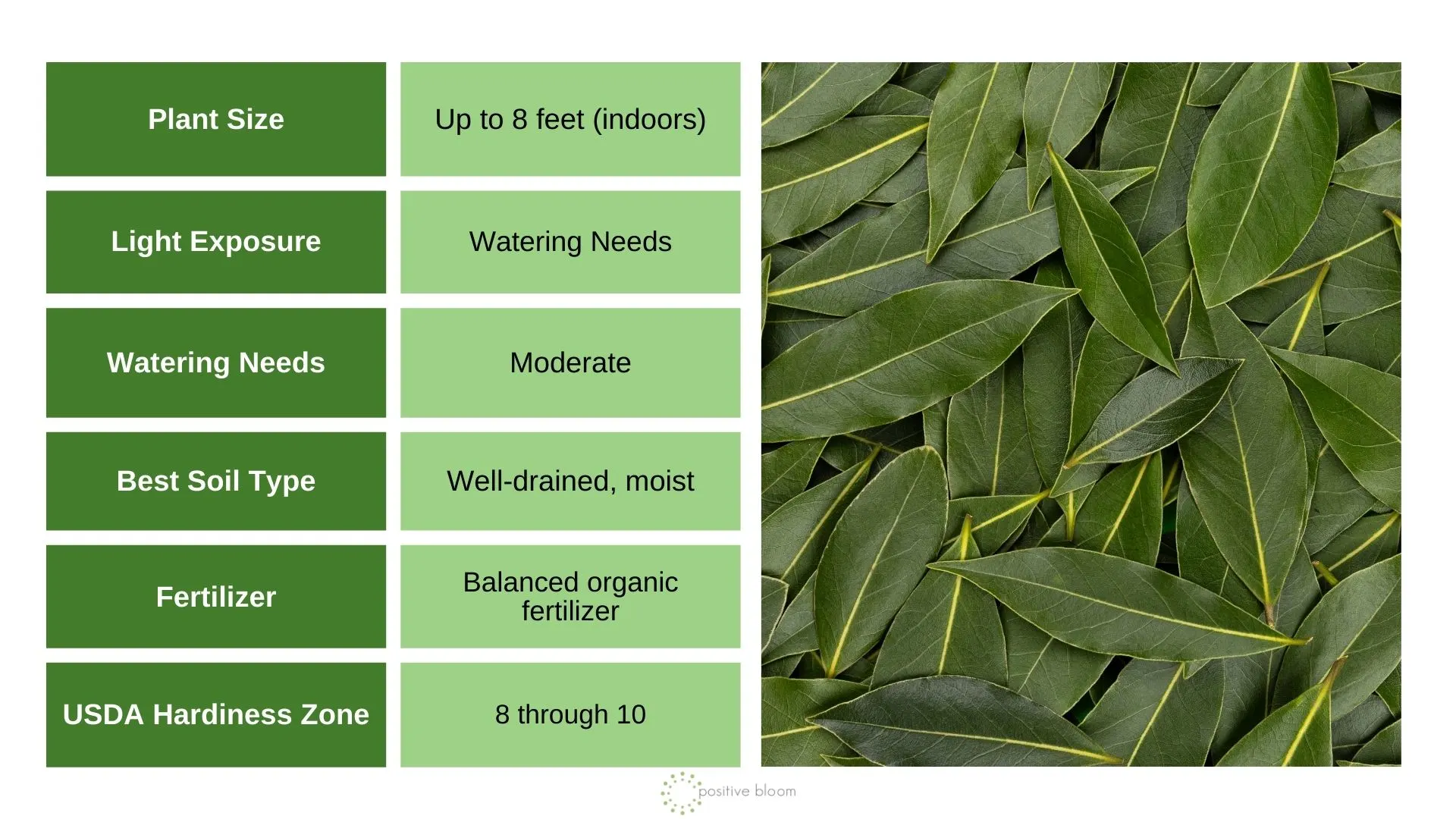 8 Best Smelling Houseplants To Transform Your Home Into A Scented Sanctuary