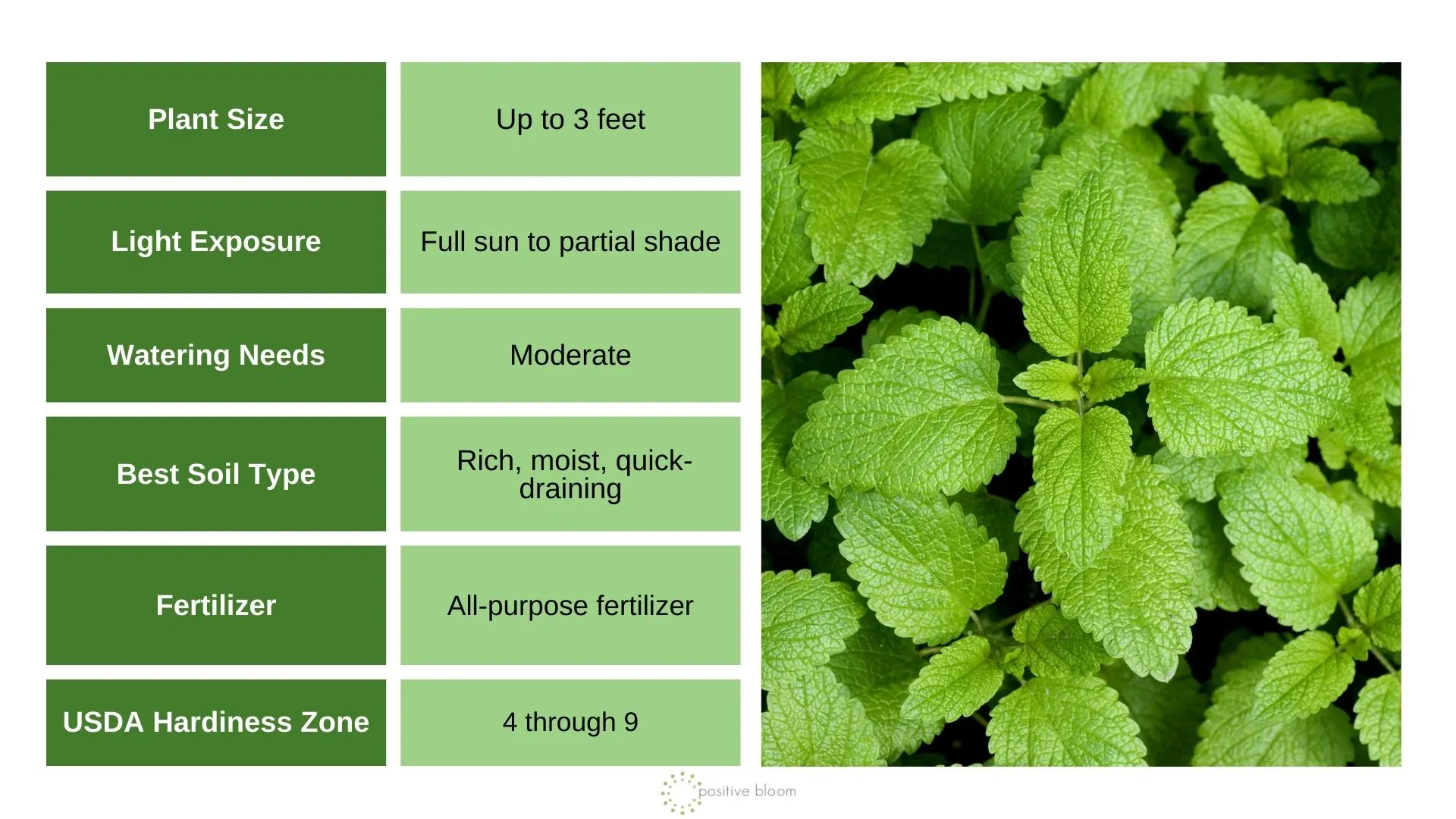 8 Best Smelling Houseplants To Transform Your Home Into A Scented Sanctuary