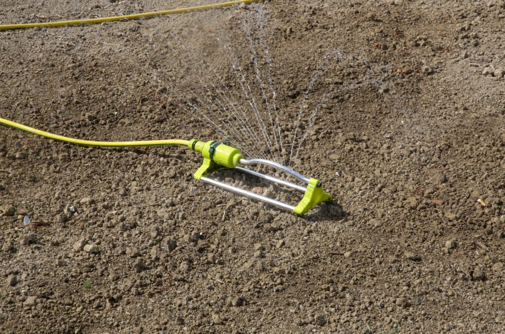 This Is Precisely When You Should Sow Grass Seed In Your Climate (7 Key ...