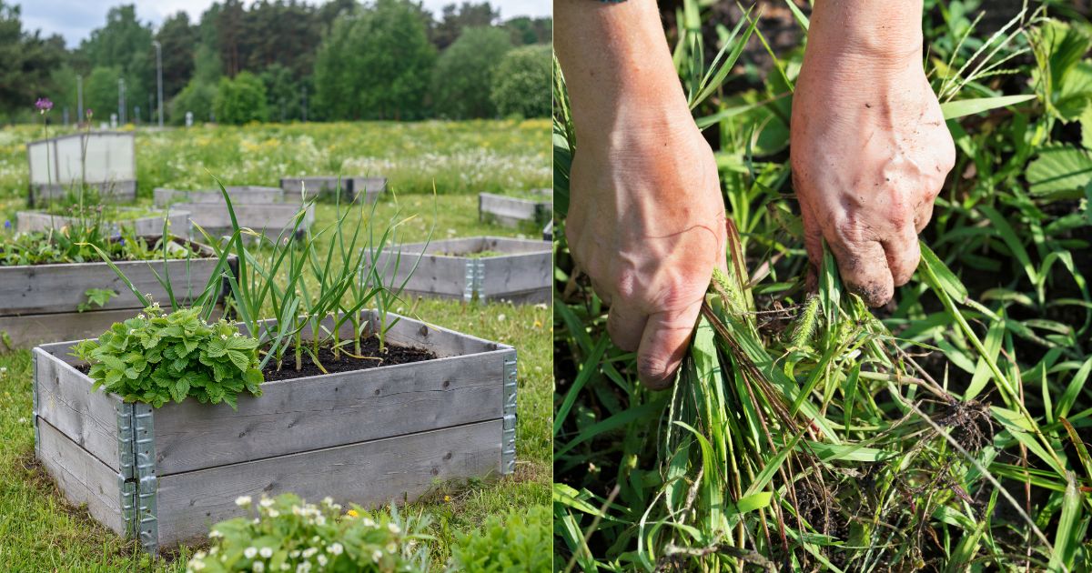 Spring Garden Prep Essentials In 10 Simple Steps