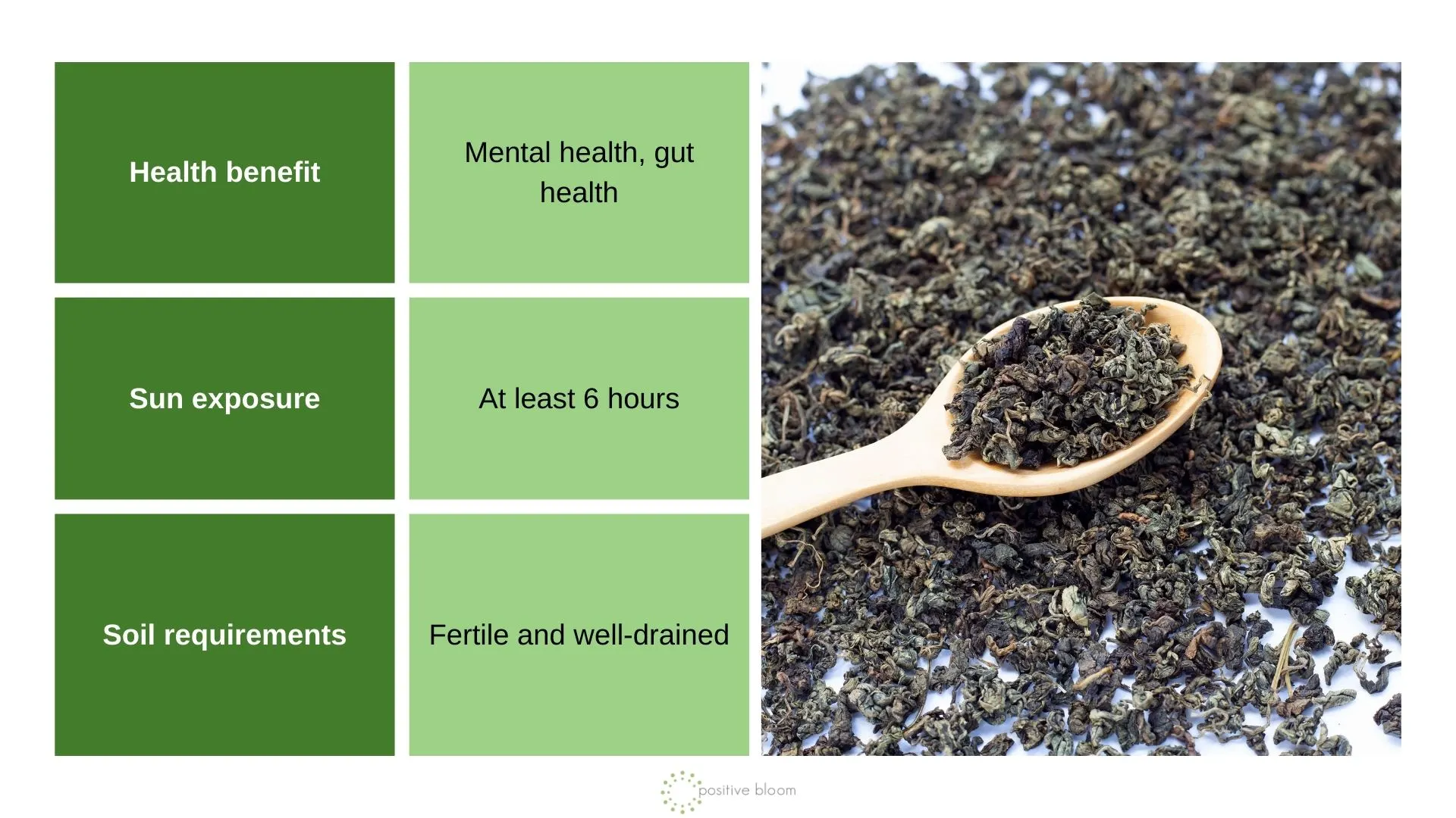 10 Healing Plants You Should Add To Your Home