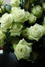 5 Captivating Varieties Of Green Roses