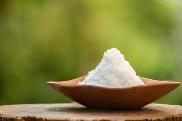 9 Methods To Protect Your Plants From Winter Salt Damage