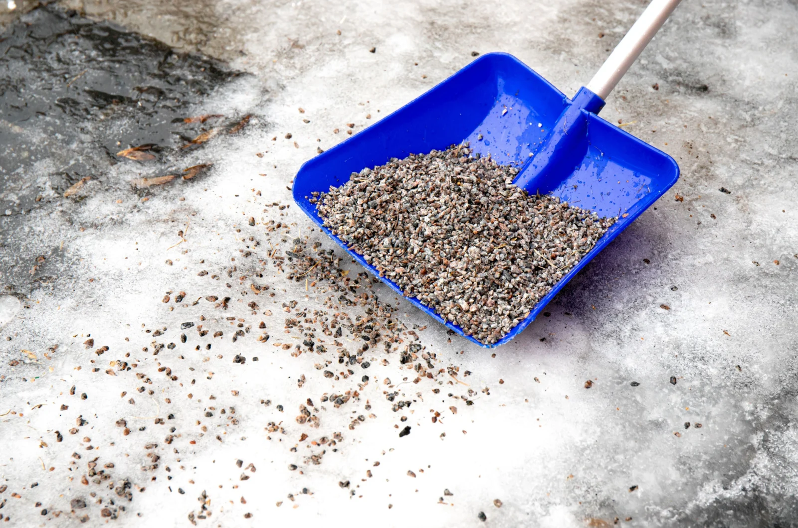 9 Methods To Protect Your Plants From Winter Salt Damage