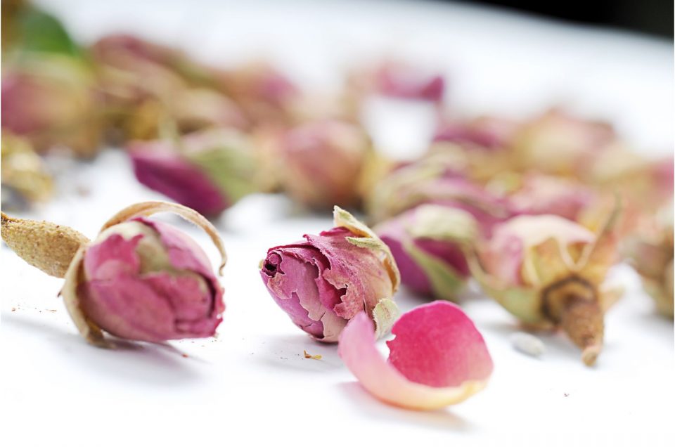 5 Ways To Preserve Roses You’ll Keep Forever