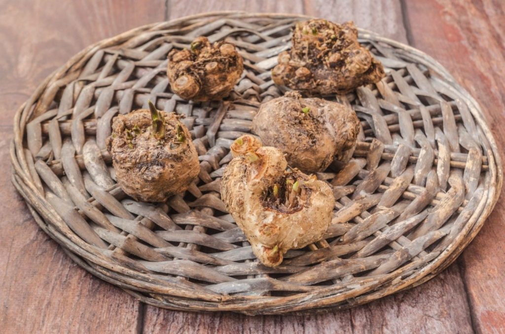 How Long Do Potted Calla Lily Flowers Last + Care Tips