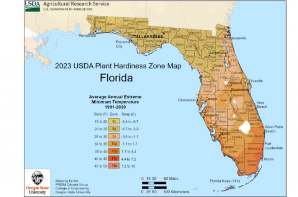 The Latest USDA Plant Hardiness Map Changes How, What, And When We Grow
